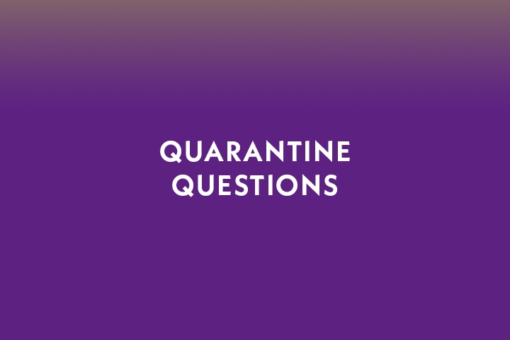 Quarantine Questions - Alexandra Paredes